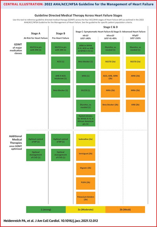Management of Heart Failure Hub | Journal of the American College of ... Management of Heart Failure Hub | Journal of the American College of ...
